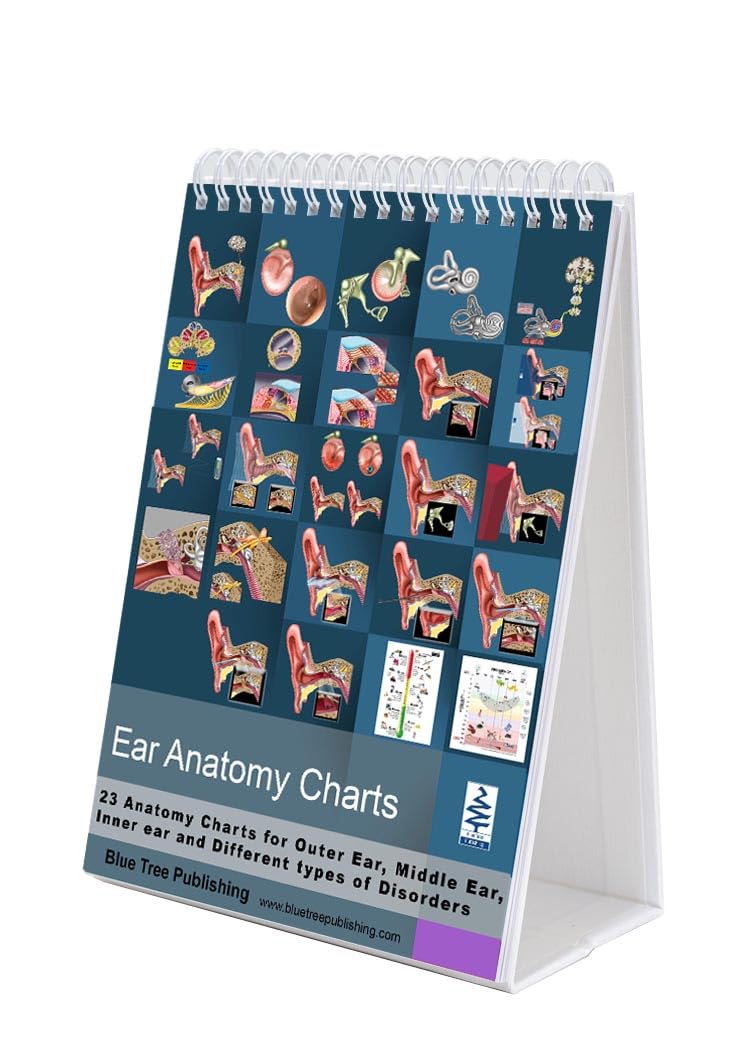 Blue Tree Publishing Ear Anatomy Desktop Charts For AUD, Audiologist, Hearing Centers and Classroom material for Education