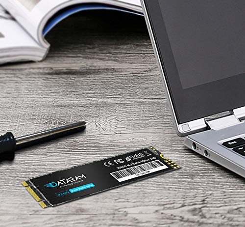 Dataram M.2 SSD 256GB, M.2-2280 Internal Hard Drive Sata Protocol, 550MB/S 6Gbps,High-Performance for Laptop PC, Desktop