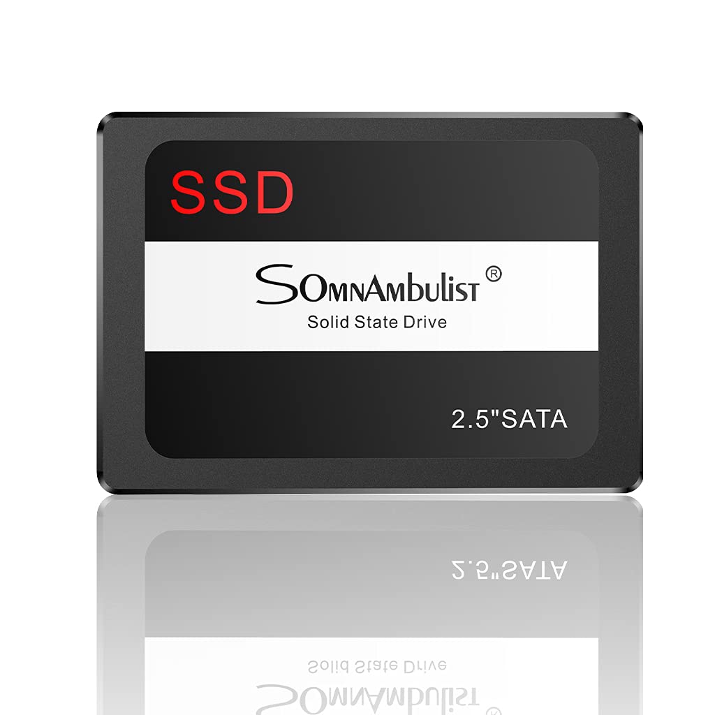 Somnambulist 60GB 120GB SSD 240GB Internal Solid State Drive - 2.5 Inch SATA for Computer, Desktop, PC & Laptop (Black Plastic -120GB)
