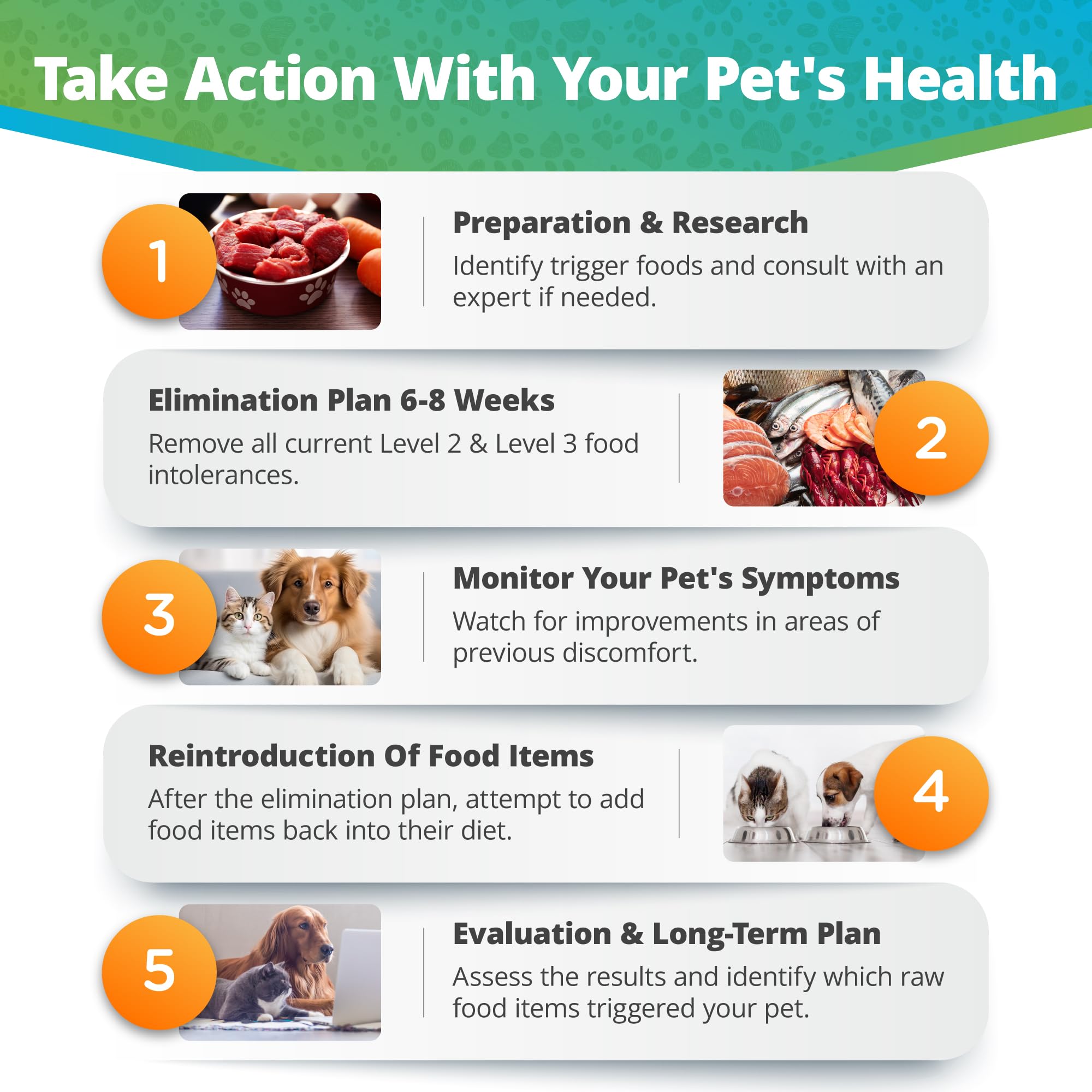 5Strands Pet Raw Food Intolerance Test, at Home Sensitivity Test for Dogs & Cats, 315 Items, Hair Analysis, Accurate for All Ages and Breed, Results in 5 Days - Chicken, Beef, Duck