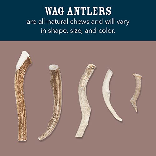 Amazon Brand – Wag Split Elk Antler, Naturally Shed, Medium 6–7.5 inches