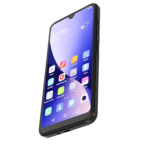 Airshi 4GB RAM 64GB ROM Cellphone, Face Recognition Dual SIM Unlocked Phone 100-240V 6.3in HD Screen GPS Supported Black for Taking Photos (US Plug)