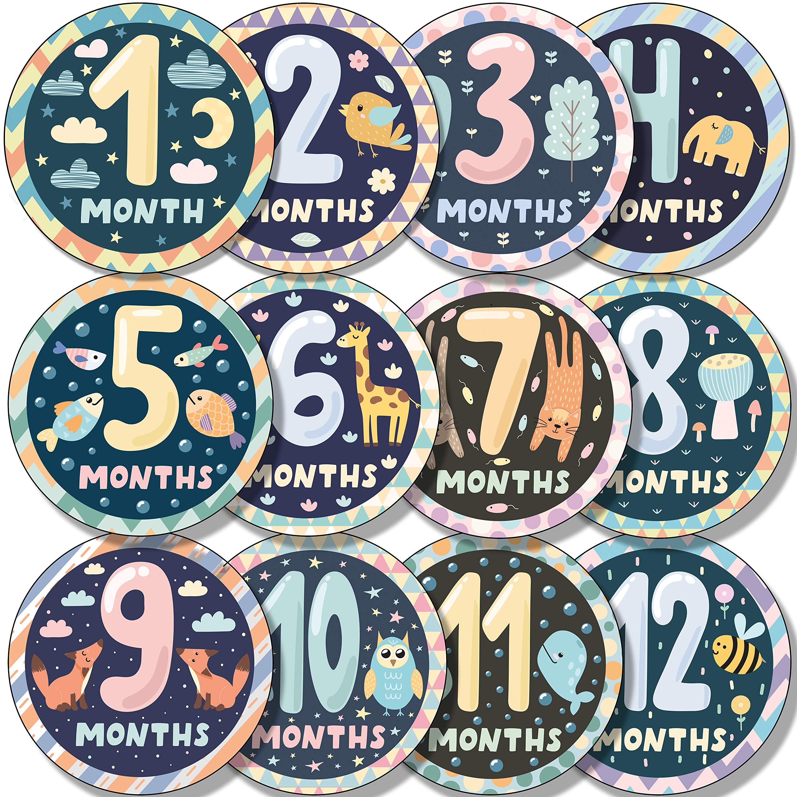 Friendly Animals Baby Monthly Stickers. 12 Large, Adorable Style Animal and Nature Designs for The First 12 Months. Ideal as a Gift for Baby Shower