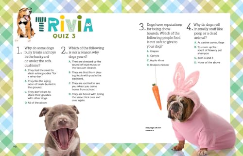 A Kid's Guide to Dogs: How to Train, Care for, and Play and Communicate with Your Amazing Pet!