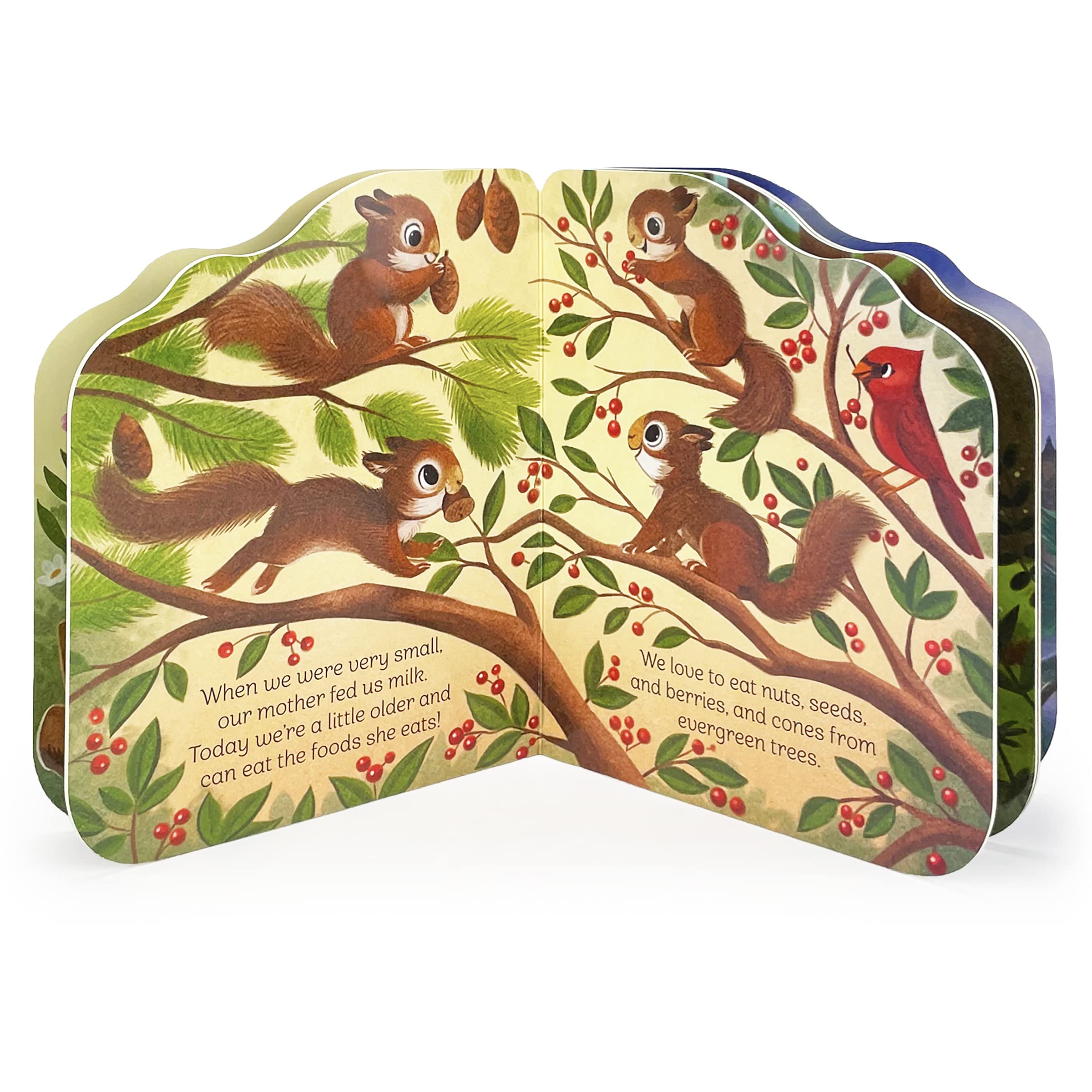 A Little Squirrel - An Animal-Shaped Children's Board Book, Ages 1-5