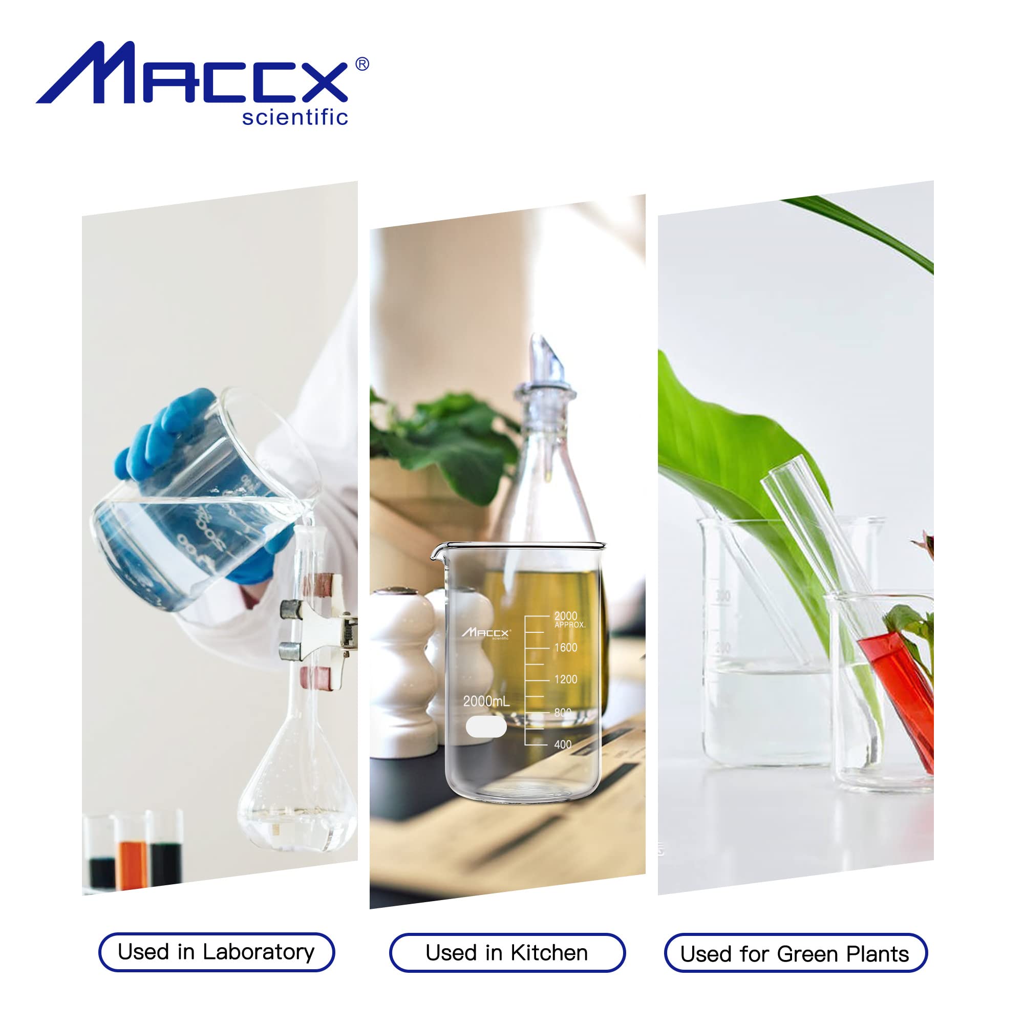 Maccx Sturdy Glass Beakers, 2 Sizes of 1000ml 2000ml,3.3 Borosilicate Griffin Low Form with Printed Graduation, BKLS06-002