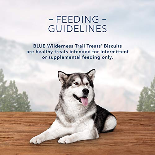 Blue Buffalo Wilderness Trail Treats High Protein Grain Free Crunchy Dog Treats Biscuits, Salmon Recipe 24-oz Bag