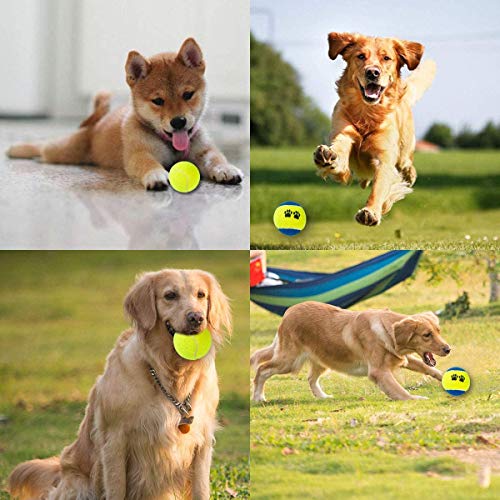 16 Pack Dog Tennis Balls for Pet Playing Fetching, Pet Safe Dog Toys for Exercise & Training - 2.5 inches