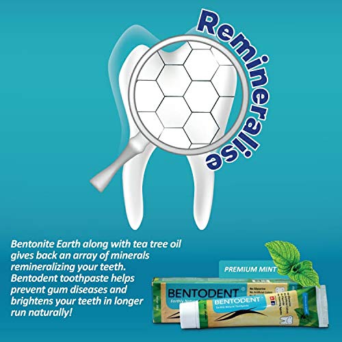 Bentodent Natural Toothpaste for Family Including Kids (Premium Mint)