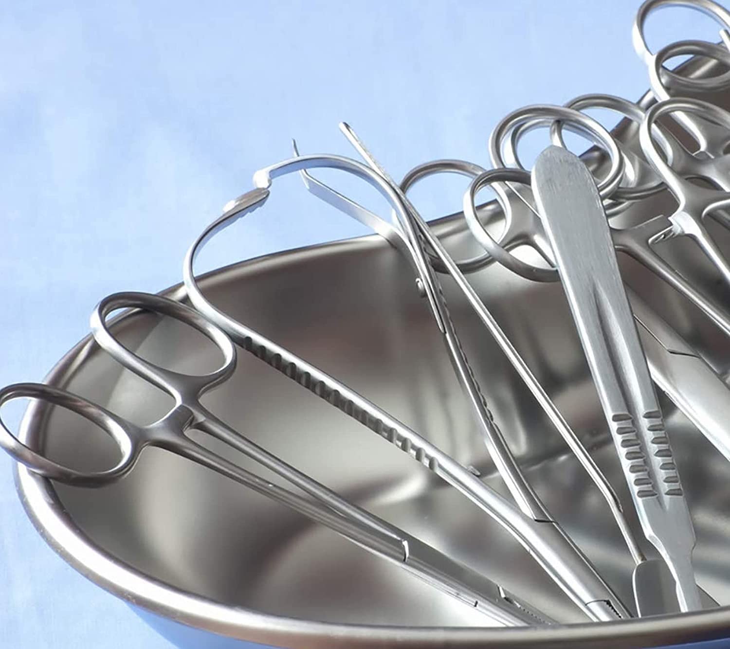 Bosky Stainless Steel Large Kidney Tray 10" inch Basin Finest Emesis Bowl SS 304 Round Edges Surgical Utility 600 cc