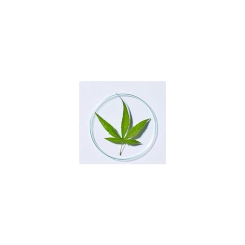 Andalou Naturals CannaCell Vitamin Conditioner, Daily Dose, 8.5 Ounces
