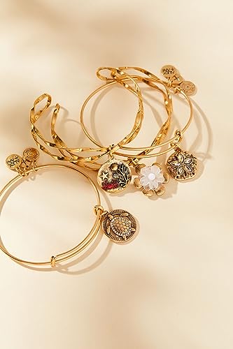 Alex and Ani Turtle Charm Bangle Bracelet, Shiny Gold Finish, 2 to 3.5 in