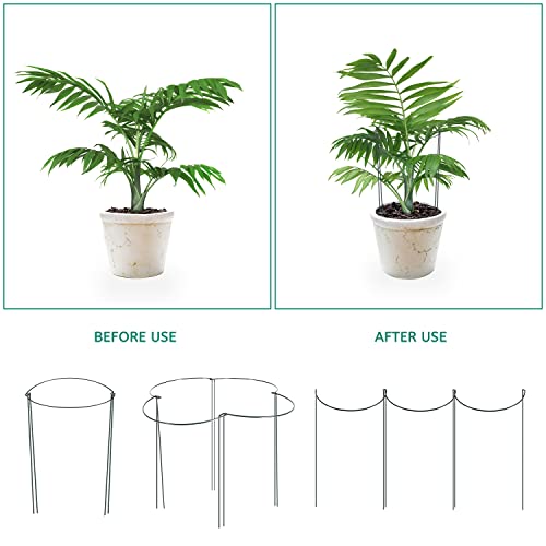 24 Pack Plant Support Stake, Half Round Metal Garden Plant Stake, Green Plant Support Ring, Border Support with Plant Lables & Plant Clips for Outdoor Indoor Plants, Vegetable, Flowers
