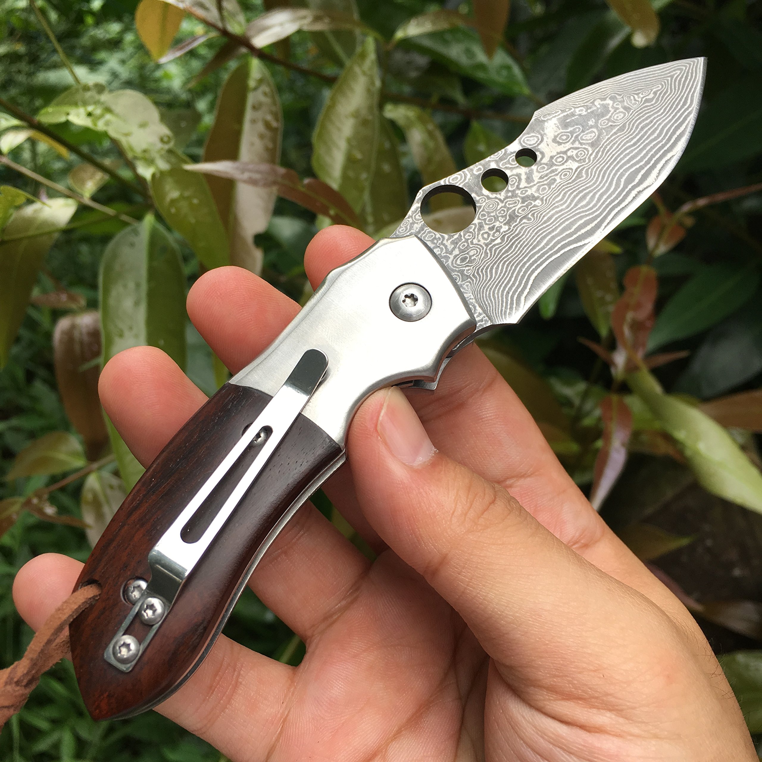 ALBATROSS HGDK007 EDC Sharp Damascus Folding Pocket Knife with Liner Lock-Cote D'Ivoire Sandalwood Handle,Gifts/Collections