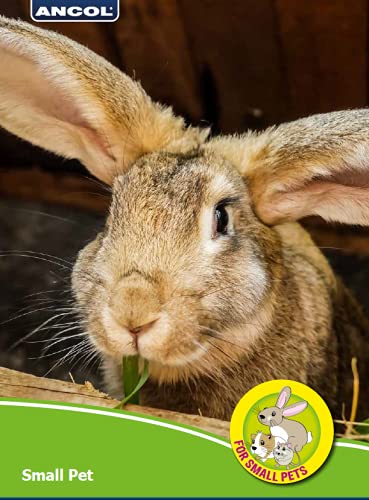 Ancol Small Animal Double Sided Comb