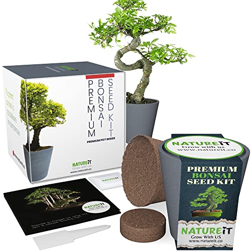 Bonsai Tree Seed Starter Kit. Bonsai Pot Included. Indoor & Outdoor DIY Beginners Easy Grow Craft & Hobby Gardening Set for Women & Men of All Ages. Unusual Housewarming Gift for Plant Lovers