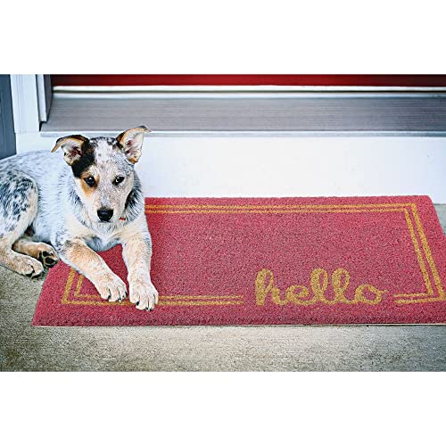mDesign Rectangular Coir and Rubber Entryway Welcome Doormat with Natural Fibers for Indoor or Outdoor Use - Decorative Script Hello Design - Dark Pink/Natural