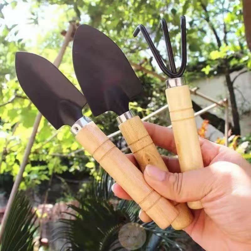 3Pcs Succulent Tools, This Tool Set is Especially Suitable for Office Gardening, Desktop Gardening and Indoor Bonsai,It Helps You All Kinds of Small Potted Plants,Meets Your Gardening Needs