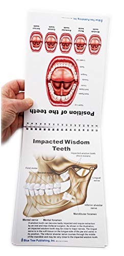 Dental Charts (Flip Chart, Stand up)