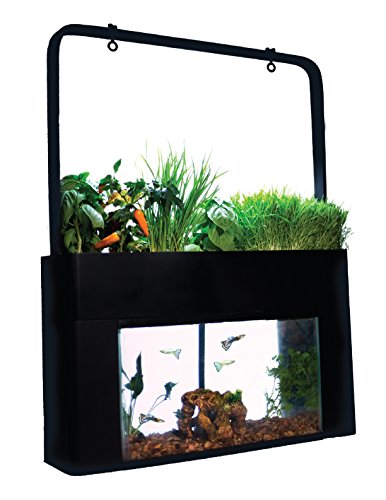 AquaSprouts Garden, Self-Sustaining Desktop Aquarium Aquaponics Ecosystem Kit, fits Standard 10 Gallon Aquariums