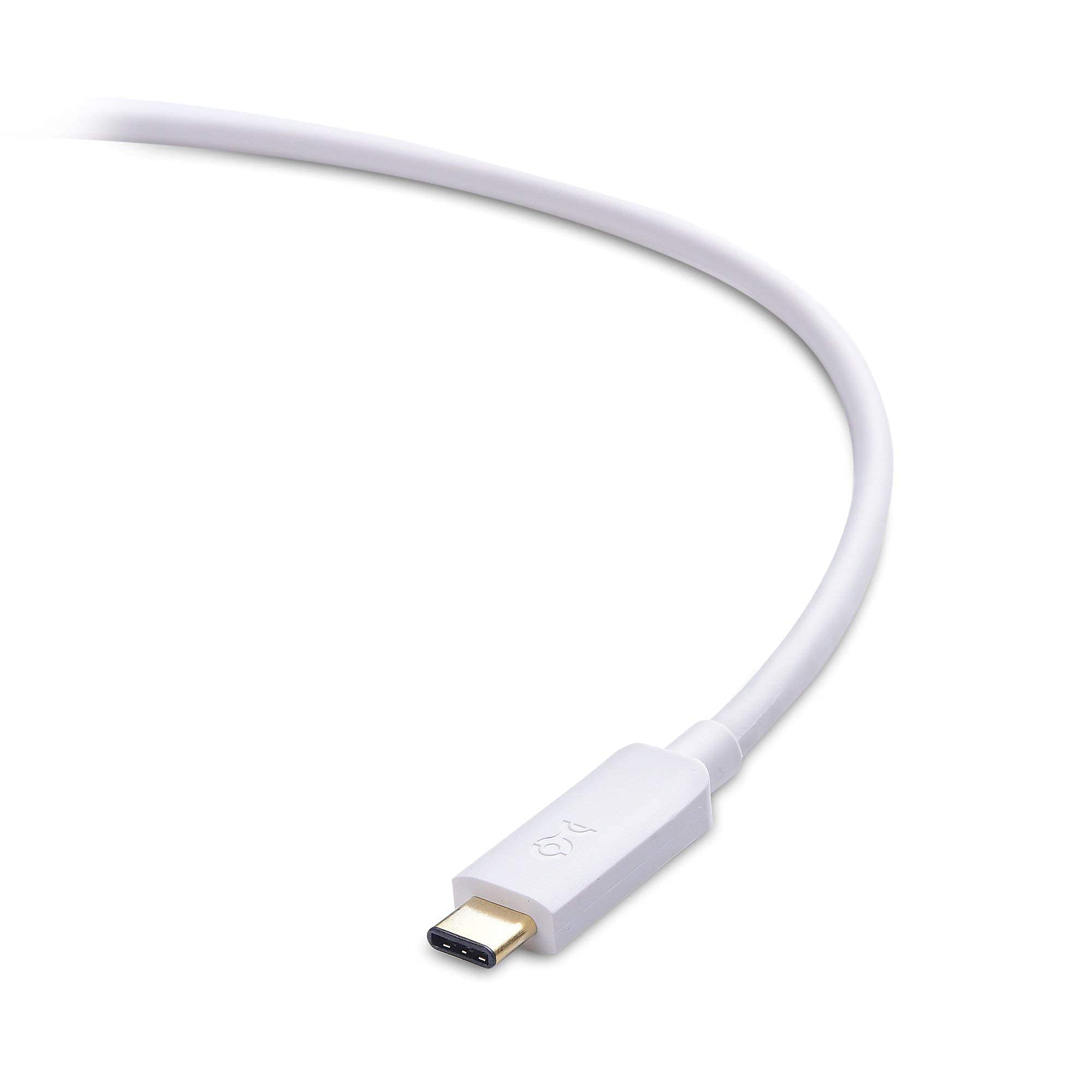 Cable Matters 3.3-Foot Short USB C to DisplayPort Cable (USB-C to DisplayPort Cable, USB C to DP Cable) Supporting 8K 60Hz in White - Thunderbolt 3 Port Compatible with MacBook Pro, Dell XPS 13 and Mo