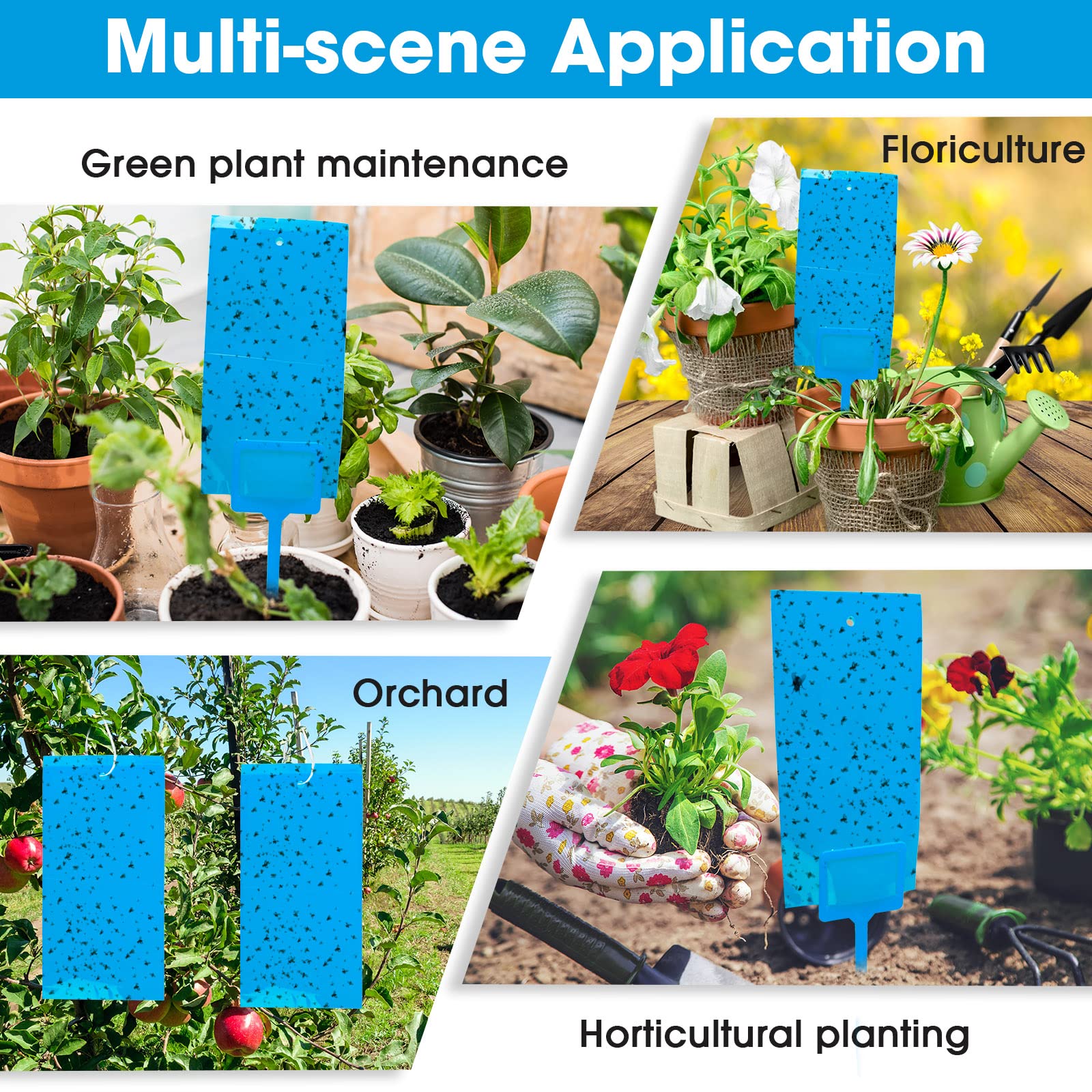 220 Pcs Double Sided Sticky Traps Gnat Killer for Flying Plant Insect Indoor Outdoor Such as Fungus Gnats, Whiteflies, Aphids, Include 200 Twist Ties and 20 Holders, 7.9 x 4 Inches (Blue)