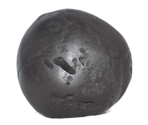 Adwaitya Golden ChinnaMasta Dasha MahaVidya Shaligram, Fossil, Fossil