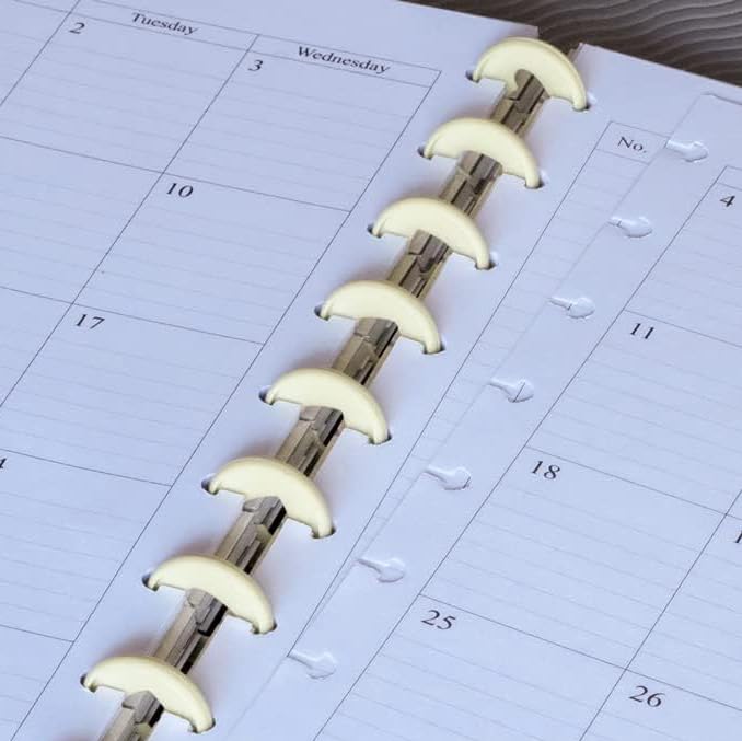 2024 Daily & Monthly Planner Refills for 8-Discbound Junior Size Planners - Appointment Schedule & To Do List, Monthly Tabs, 8-Disc Punched, Jan 2024 - Dec 2024