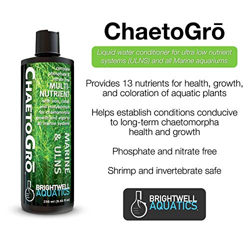 Brightwell Aquatics Chaeto GRO - Multi-Nutrient Supplement for Chaetomorpha Growth in All Marine Aquariums, 500 ML