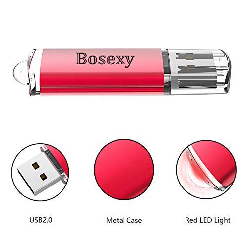 Bosexy USB Memory Sticks USB 2.0 Flash Drives Pen Drive 10 Pack (64MB, Red)