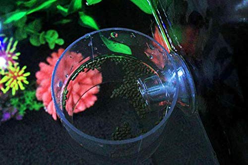 DGZZI Fish Feeder Acrylic Aquarium Fish Tank Adjustable Circle Ring Fish Feeding Floating Food Dish Food Protection Cover Tray Feeder