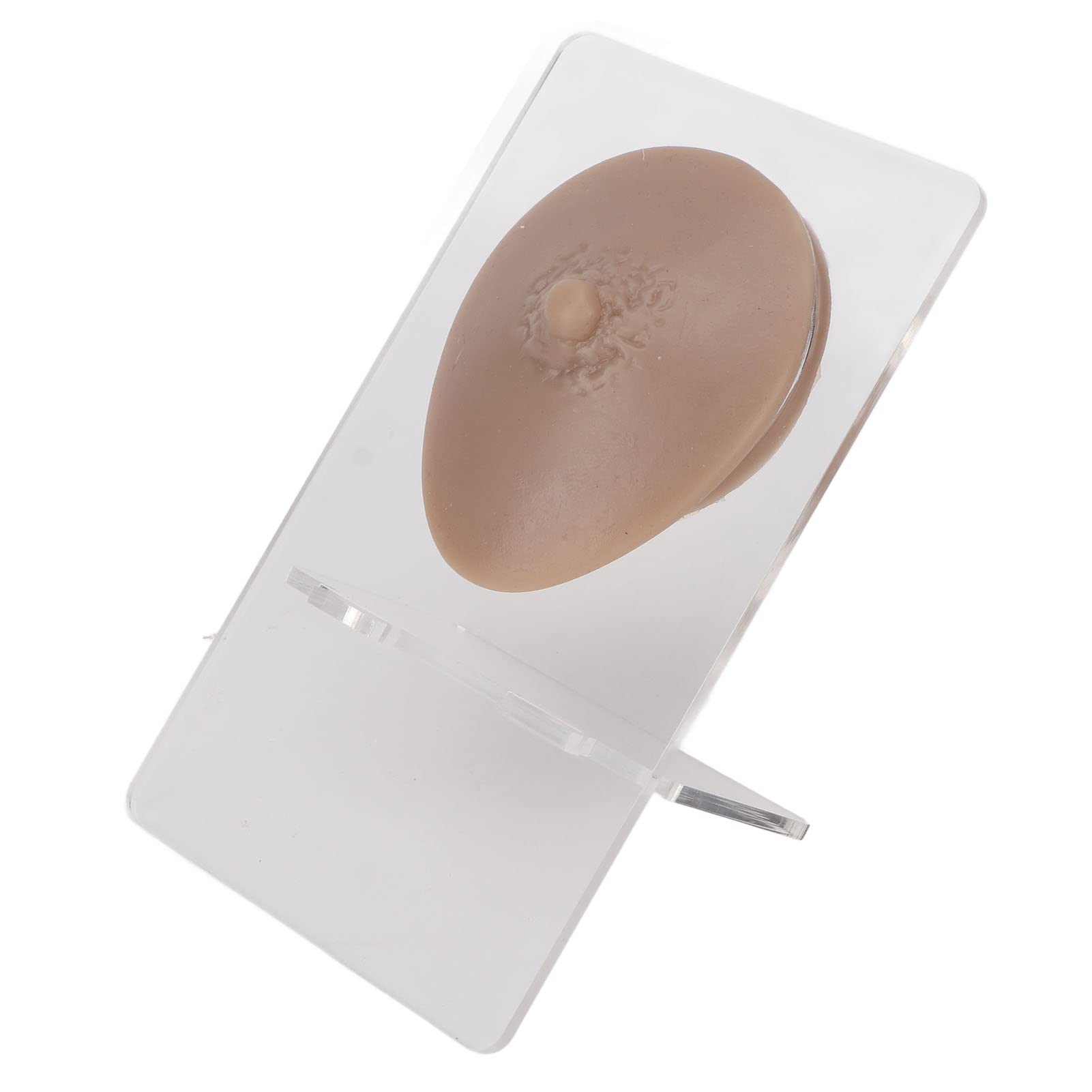 3D Nipple Model, Single Soft Silicone Elastic Simulation Reusable Model with Holder, Simulation Soft Flexible Nipple Display Props for Body Piercing Practice and Jewelry Display (Light Skin Colour)