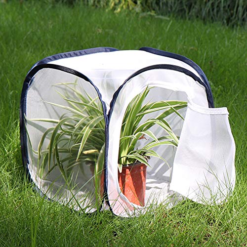12" Butterfly Habitat Insect Cage Monarch Butterfly Enclosure for Caterpillars Pop-up 12 inches Tall Polyester Bottom for Easier Clean