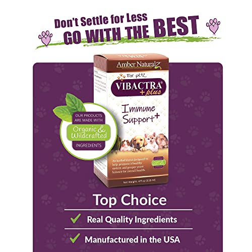 Amber NaturalZ - Vibactra Plus Immune Support Plus - an antioxidant enriched formula helps fight free radicals, supports healthy yeast balance, maintains healthy gut flora, supports upper respiratory health and oral health - 4 Oz