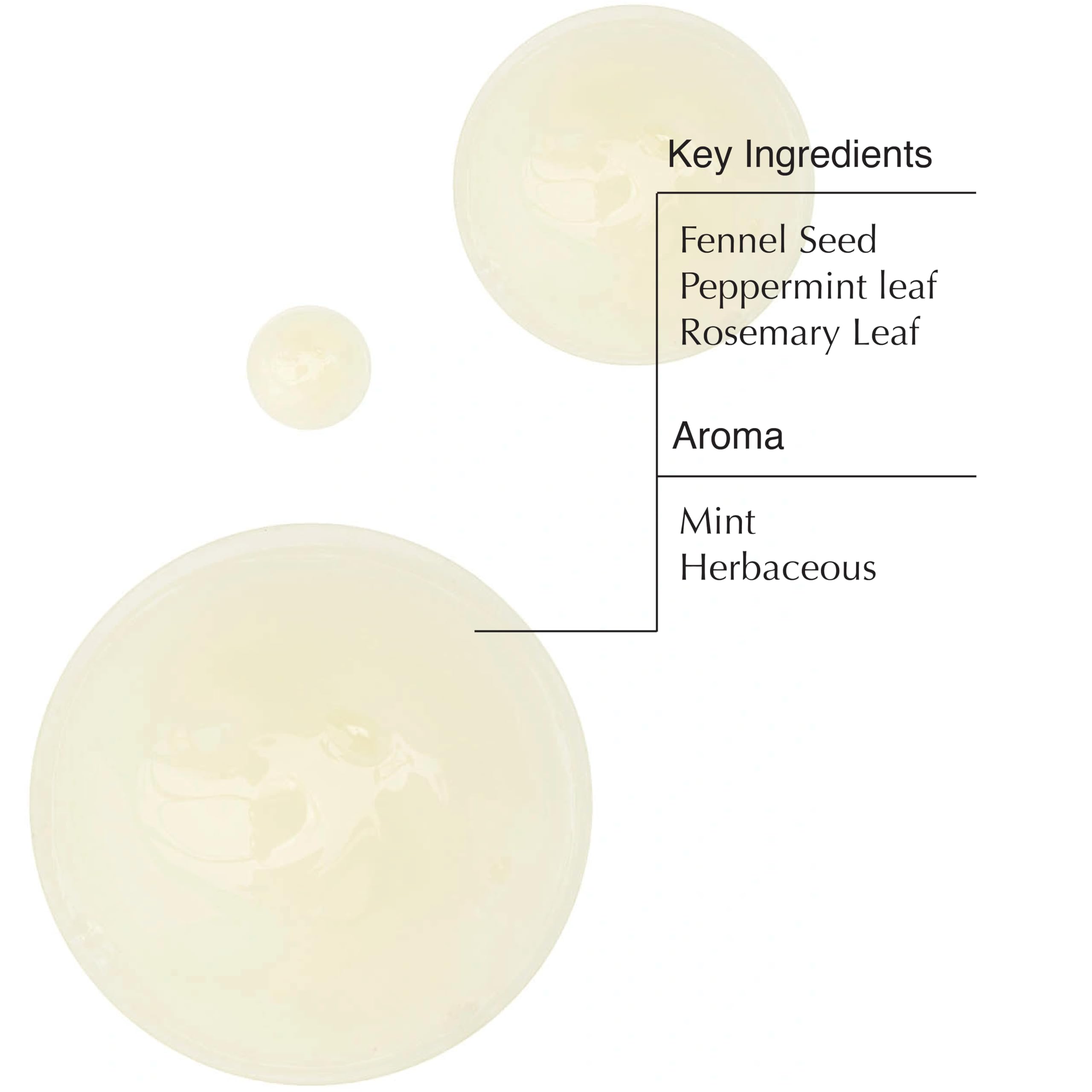 Aesop Volumizing Shampoo | Lifting Formulation for Volume and Body | Boosted with Polyquaternium 67 | 16.9 oz