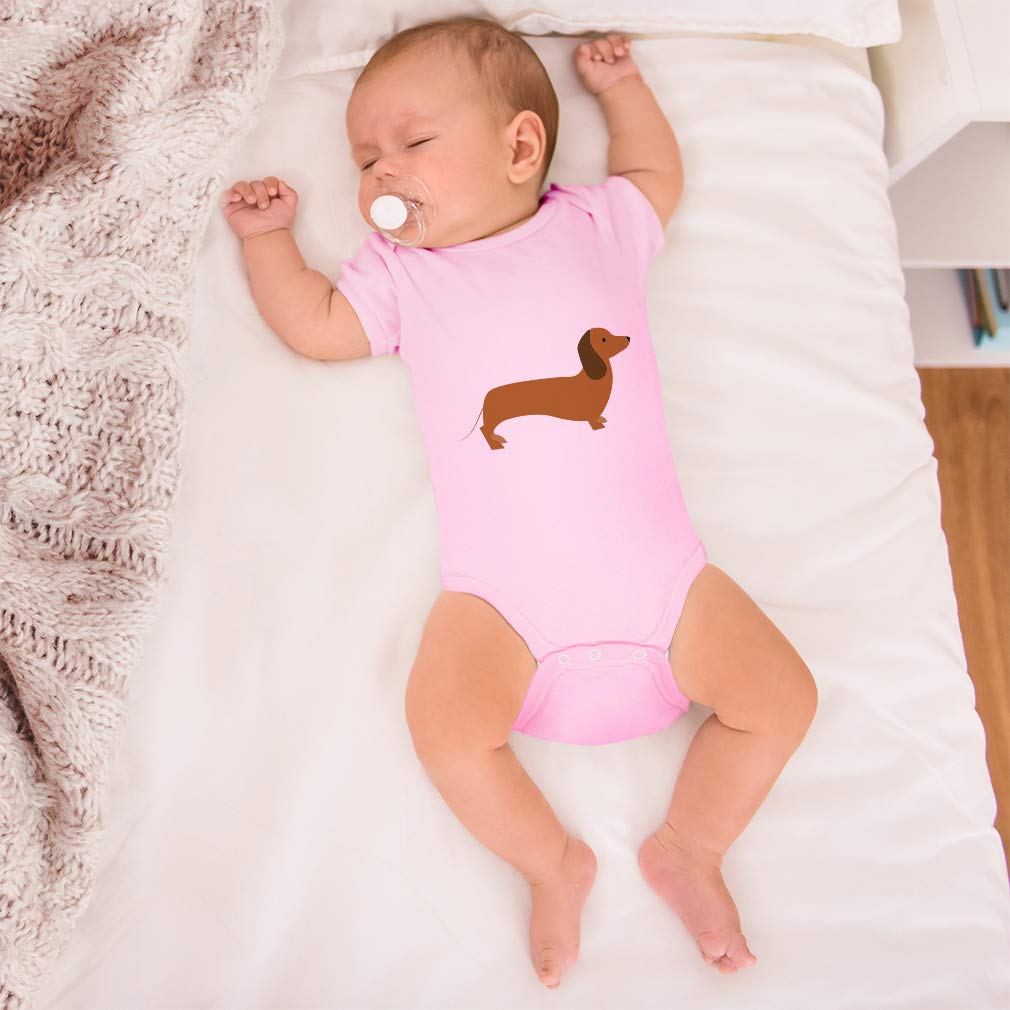 Custom Personalized Baby Bodysuit Dachshund Dog Lover Pet A Funny Cotton Boy & Girl Striped Baby Clothes Stripes Gray White Design Only 6 Months
