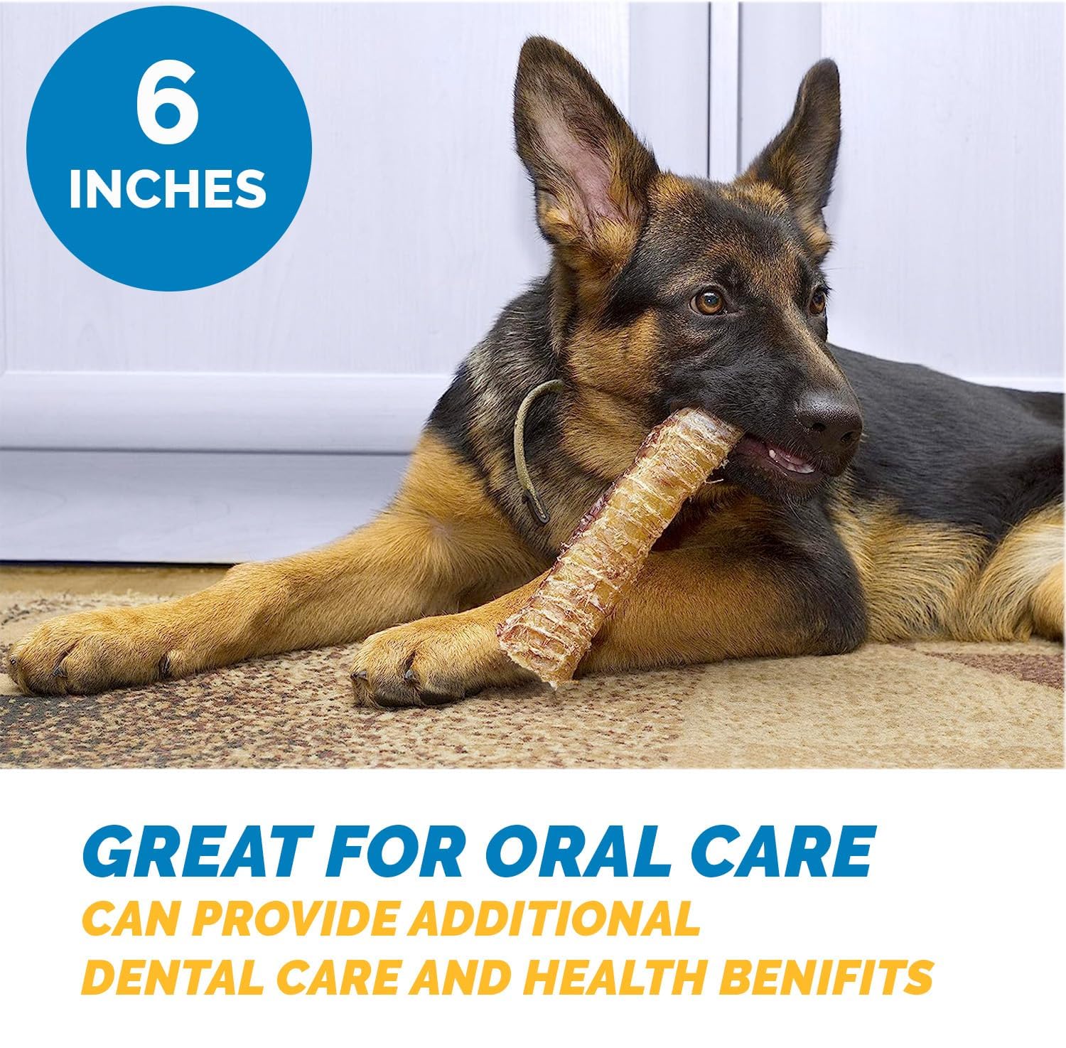 123 Treats Premium Beef Trachea for Dogs โ 6 Inch 100% Natural Beef Dog Chews, Rich in Glucosamine and Chondroitin for Joint & Hip Mobility (10 Count)