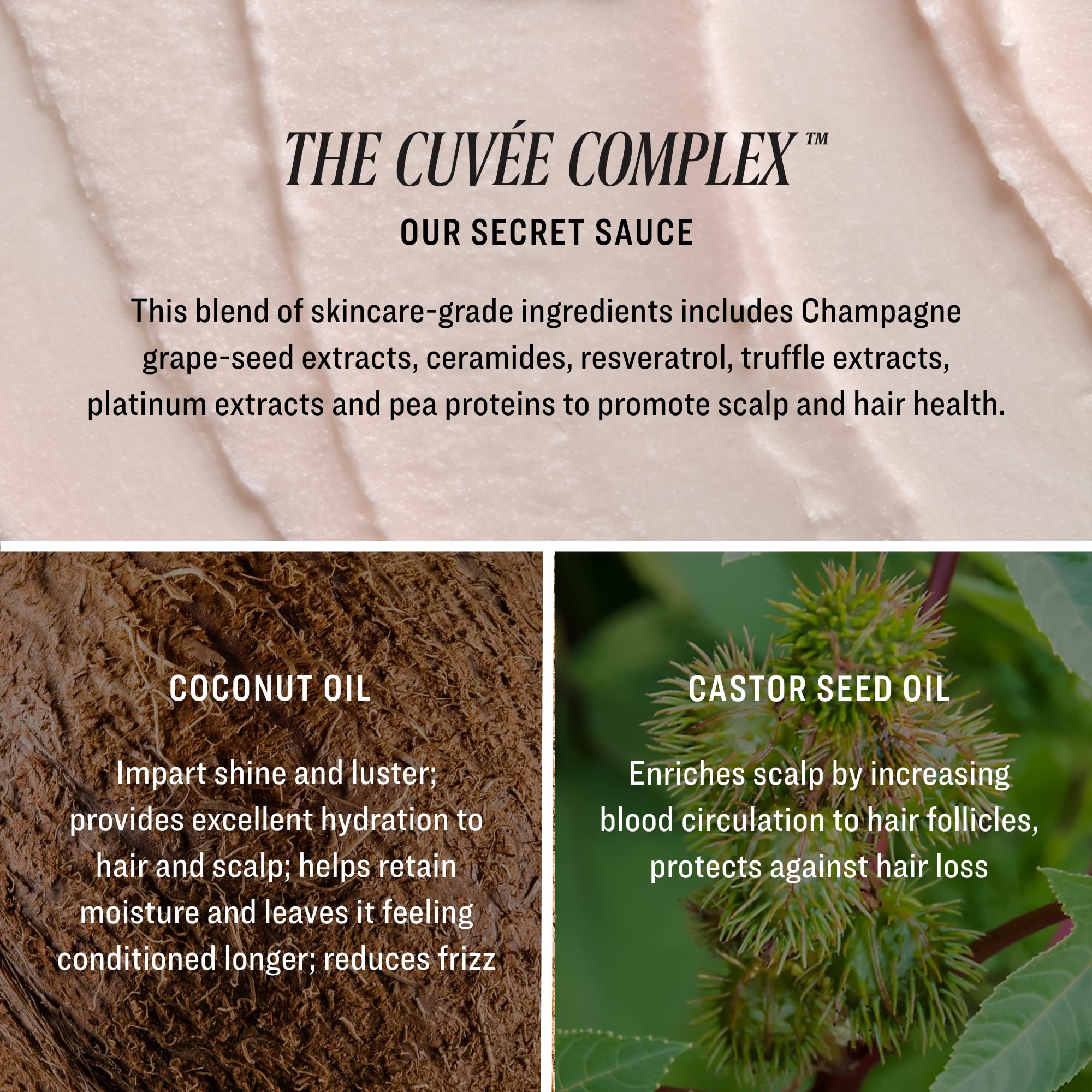 CUVÉE BEAUTY GoBalm Conditioner - 2.36 oz - Solid-to-Liquid Conditioner - Hydrates & Moisturizes Hair - Leak Free, TSA Approved