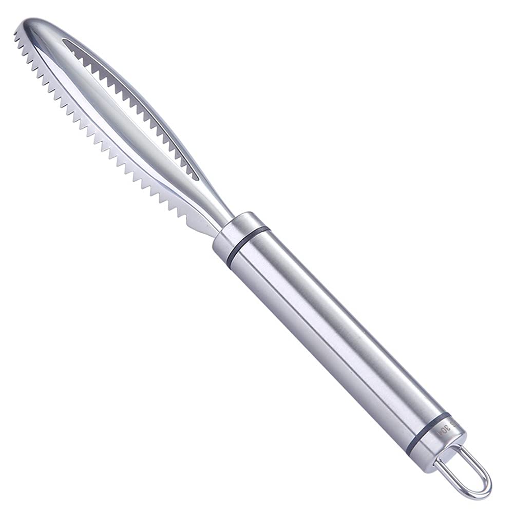 AKOAK 1 Pack Stainless Steel Fish Scale Planer Fish Scale Skin Brush Scaler Peeler Quick Removal of Fish Scale Cleaning Scraper Efficient Fish Scale Scraping Seafood Tools Kitchen Accessories