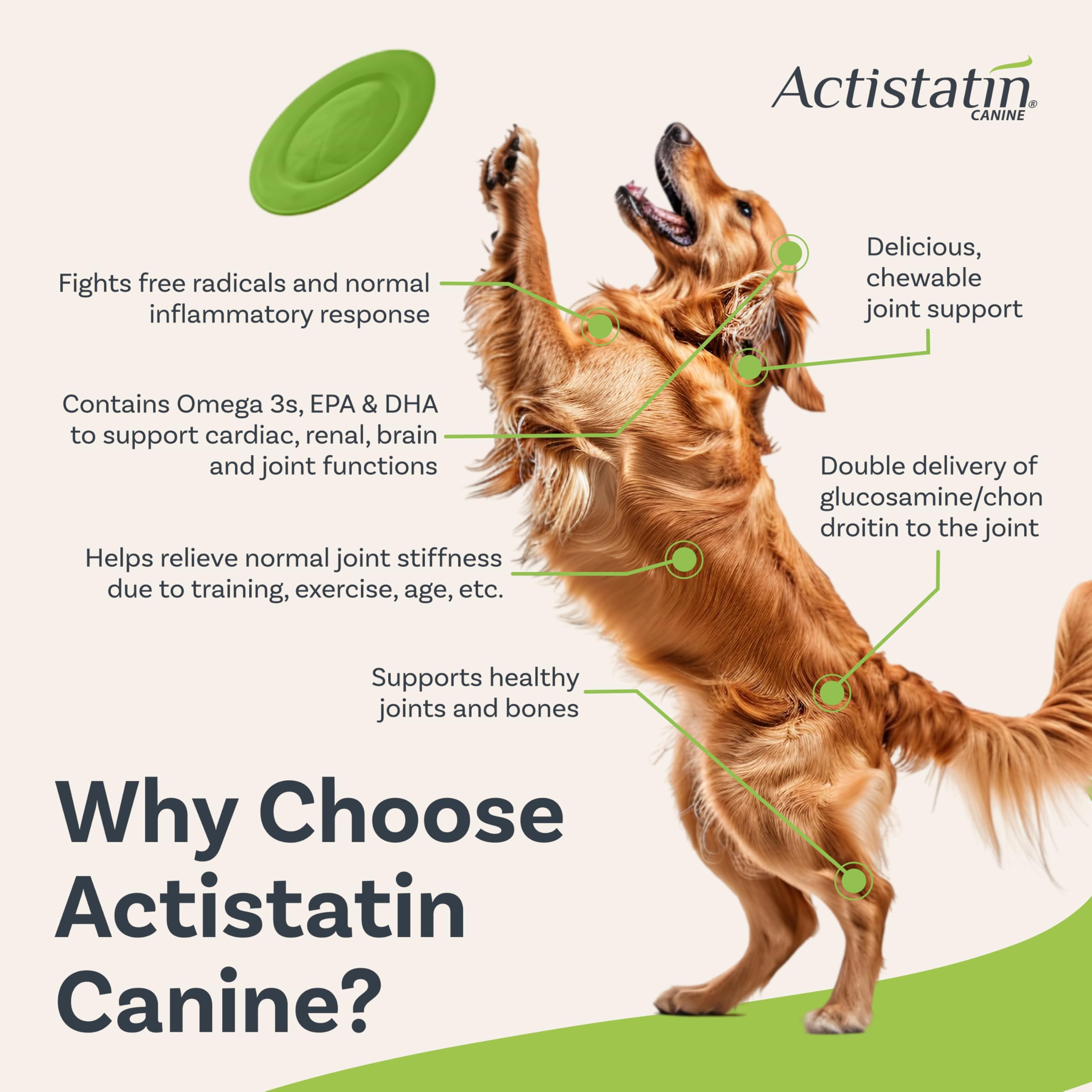 Actistatin Canine Large Dog Soft Chews, 120ct β Patented Extra-Strength Joint, Cartilage, Soft Tissue Supplement: Glucosamine, Chondroitin, Manganese, MSM, L-Carnitine β High Absorption, Fast Results
