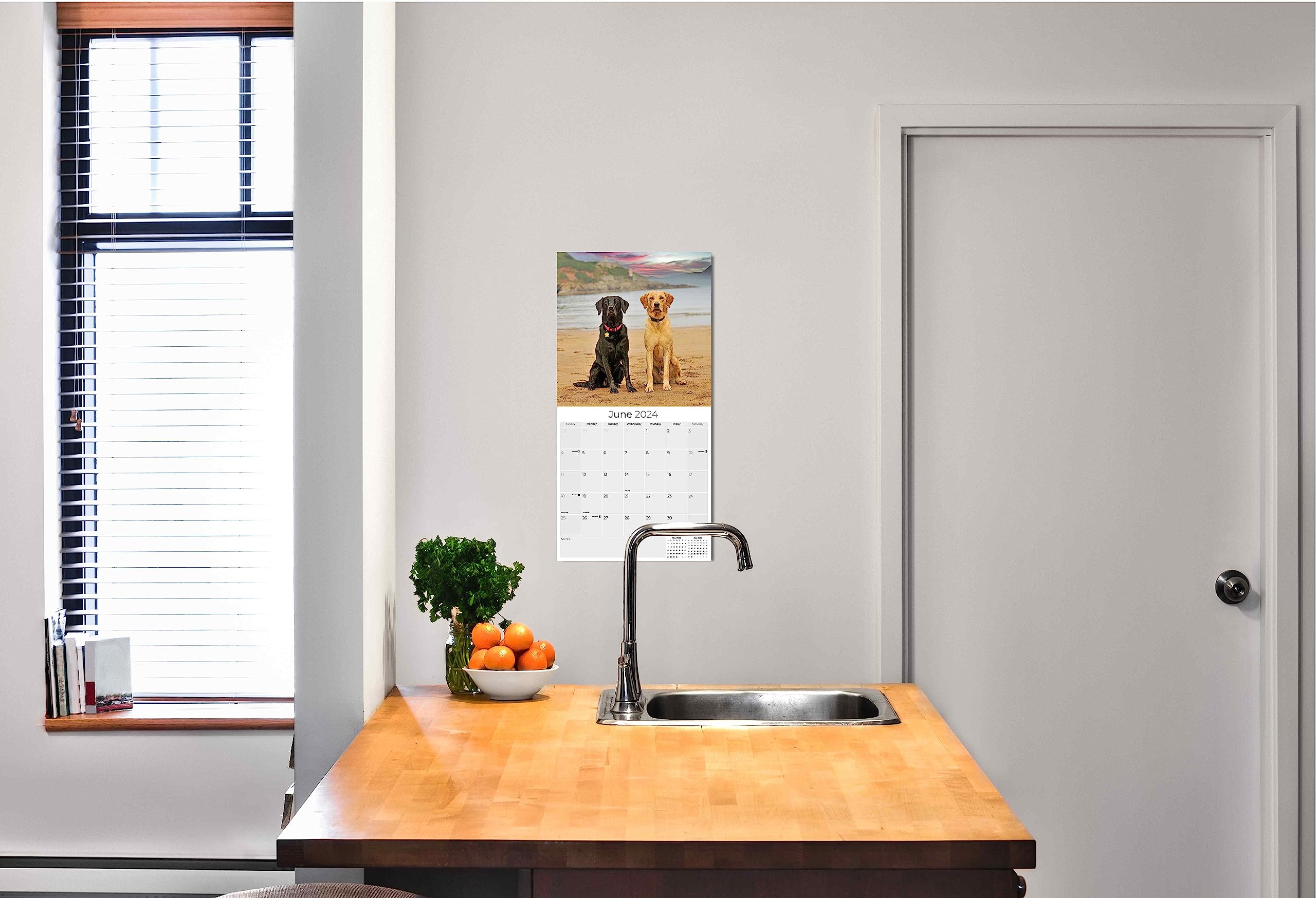2023 2024 Labrador Retriever Calendar Mixed - Dog Breed Monthly Wall Calendar - 12 x 24 Open - Thick No-Bleed Paper - Giftable - Academic Teacher's Planner Calendar Organizing & Planning - Made in USA