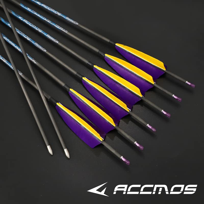 18pc 32inch Pure Carbon Arrows 4"Turkey Feather ID4.2 Spine700 Carbon Arrows Target Practice Arrow for Compound Bow Recurve Bow Arrows Hunting Arrow Replaceable Arrowhead Adult Youth Archery Shooting