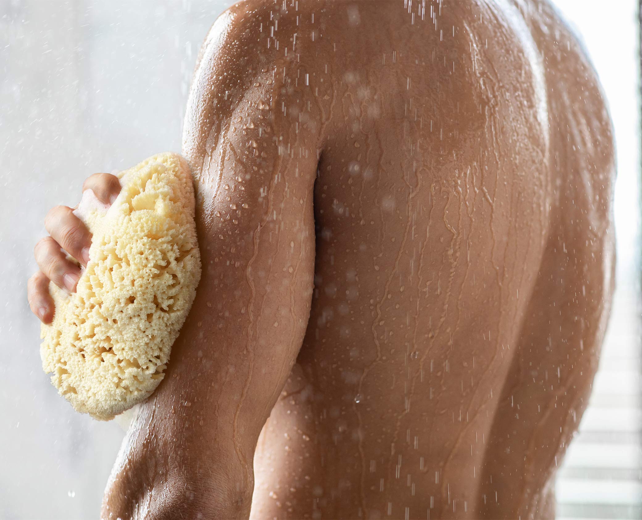 Real Sea Sponge for Men - Extra Large 6"-7", Totally Natural, Kind on Skin for an Invigorating Shower, Supplied in Breathable Mesh Bag. Great for The Gym, Grooming, Bath & Body Gift by Constantia Man