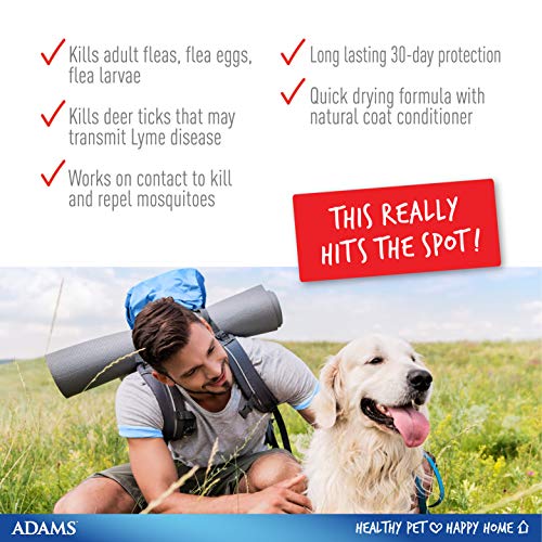 Adams Plus Flea and Tick Spot On for Dogs, Small Dog Flea Treatment, 5-14 Pounds, 3 Month Supply