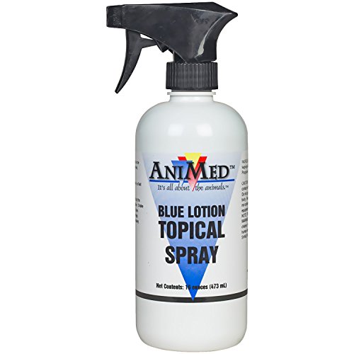 AniMed Blue Lotion Topical Antiseptic for Horses Dogs Cats Cows Sheep and Goats, 16-Ounce