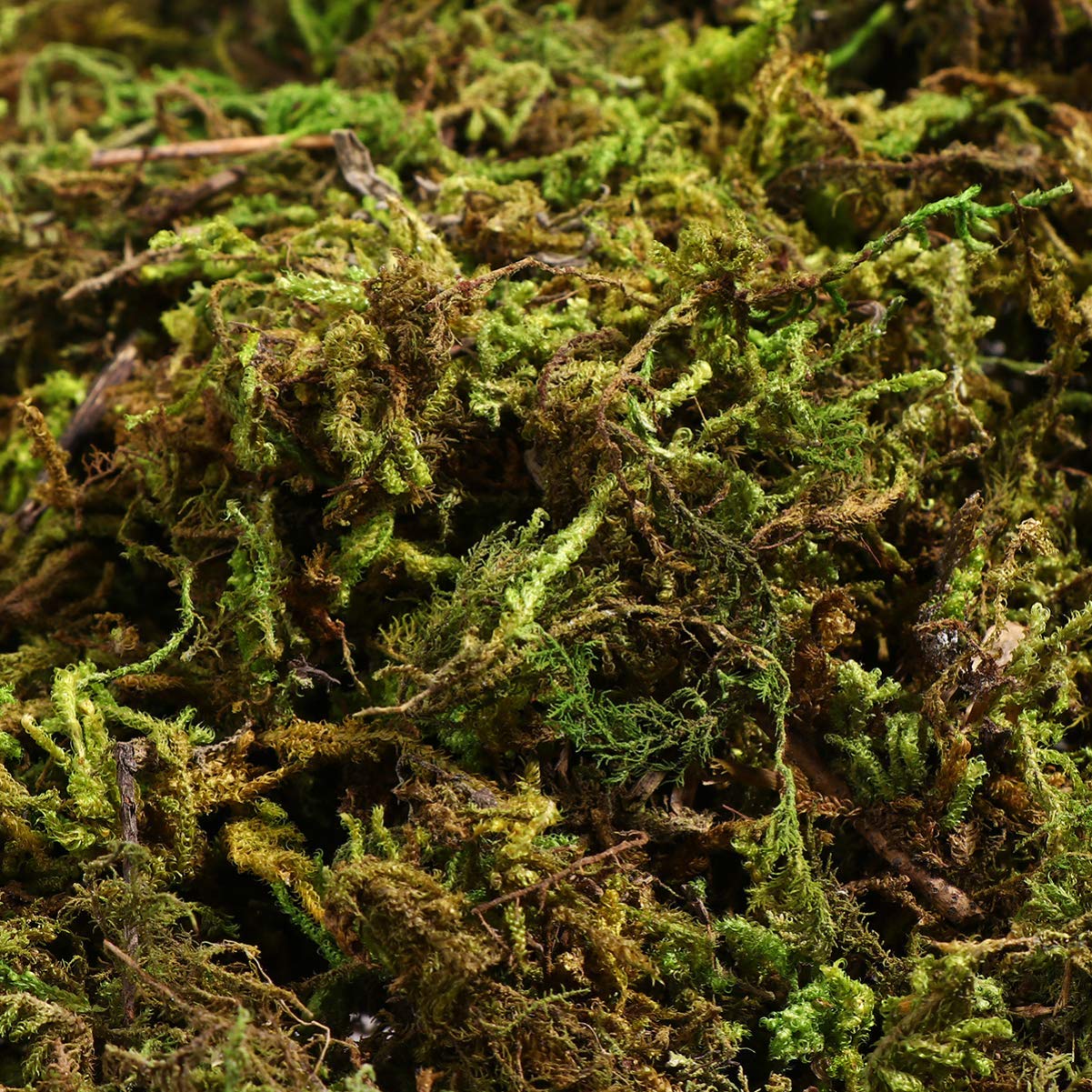 Abaodam Moss for Potted Plants Flowers Live Plant Fake Artificial Crafts Green Simulation Lifelike Fake Moss Artificial Plants Faux Lichen for Decoration Home Garden(60g Each Pack