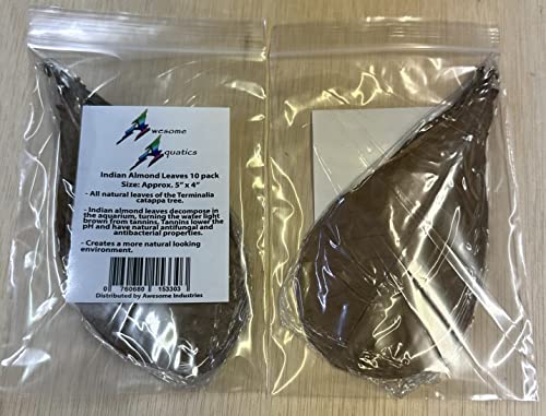 Betta/Shrimp Leaves 10 4"-6" Premium Catappa Indian Almond Leaves Natural Habitat Tannin Producing Improves Immunity, Easy to USE Awesome Aquatic