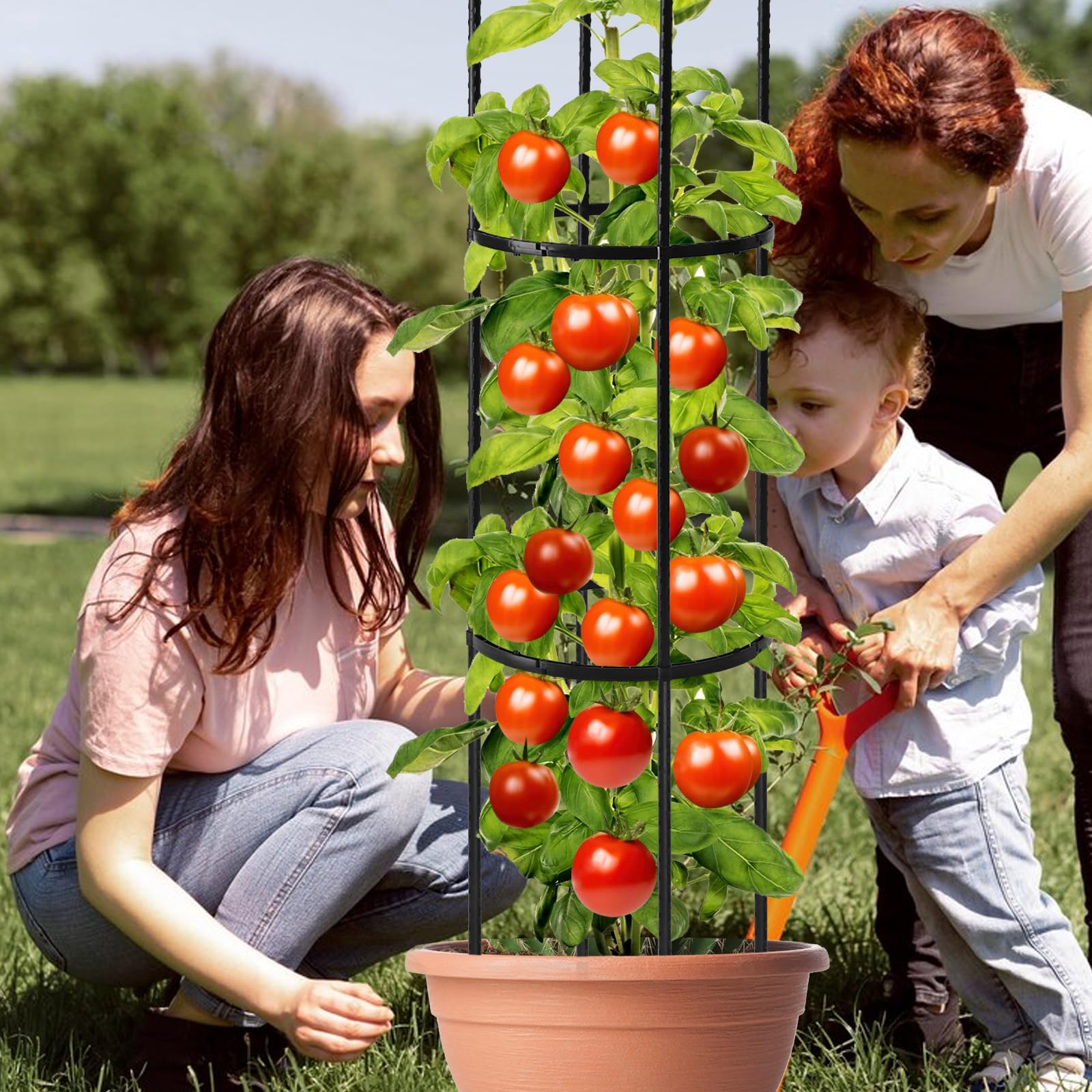 2 Pack Tomato Cage, Tomato Cages for Garden, Tomato Trellis Plant Stakes Support, Tomato Cage for Pots and Garden Climbing Vegetables Plants Flowers
