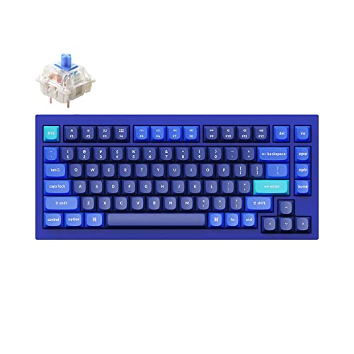 Keychron Q1 RGB Wired Custom Mechanical Keyboard, 75% Layout QMK/VIA Programmable Macro with Hot-swappable Gateron G Pro Blue Switch Double Gasket Compatible with Mac Windows Linux (Blue) -Version 2