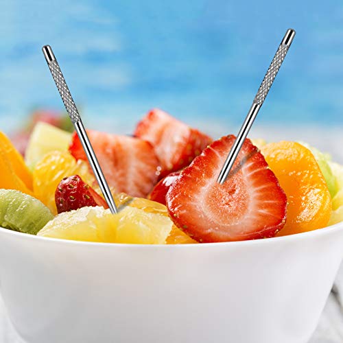 7Pcs 2 Set Portable Stainless Steel Toothpicks Pocket Set, Reusable Metal Toothpicks Cleaning Kit with Holder for Outdoor Picnic Camping Traveling β¦
